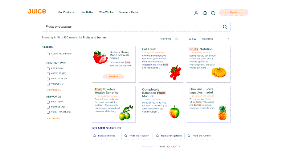14 UX Best Practices for Site Search White Paper | SearchStax