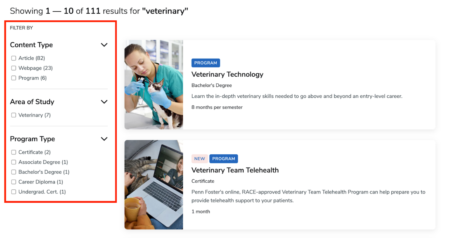 What is Site Search? A Marketer's Guide to Better Website Search